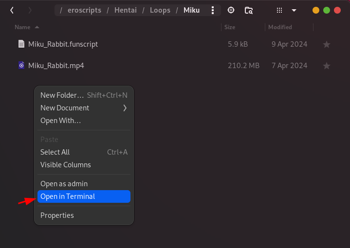 Guide How To Create A Short Preview Using Ffmpeg And Gifsicle